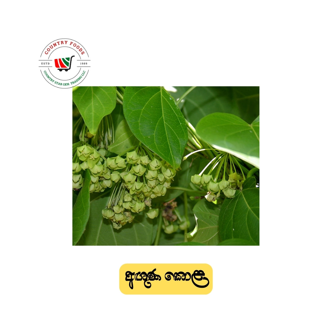 Lanka foods, Sri Lankan Foods, Sri Lanka Vegetables, sri lanka fresh ...