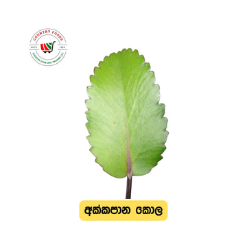 LANKA FOODS - Best Sri Lankan Online Grocery in UAE | The Country Food ...